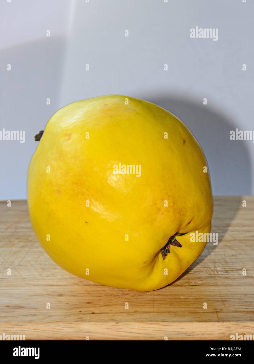 Yellow Quince (Cydonia oblonga) fruit, close up isolated Stock Photo ...