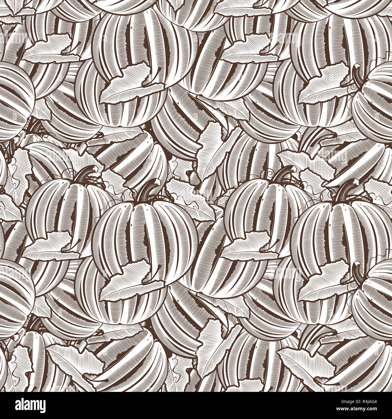 Vintage Pumpkin Seamless Pattern Stock Photo - Alamy