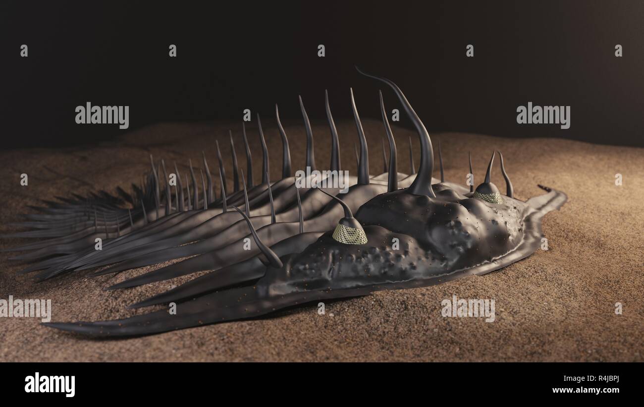 prehistoric trilobite 3d illustration Stock Photo - Alamy