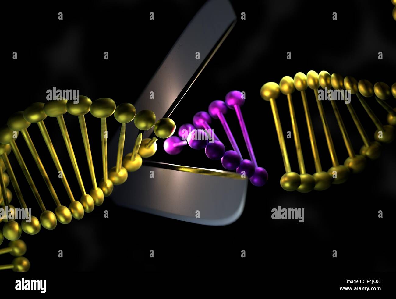 DNA cut the part with a scissor 3d illustration Stock Photo - Alamy