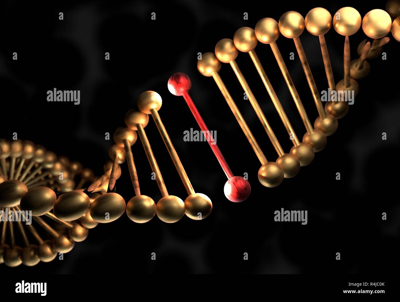 Segment dna hi-res stock photography and images - Alamy