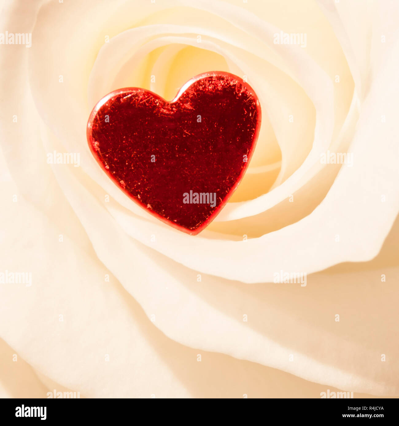 Herz mit rose hi-res stock photography and images - Alamy