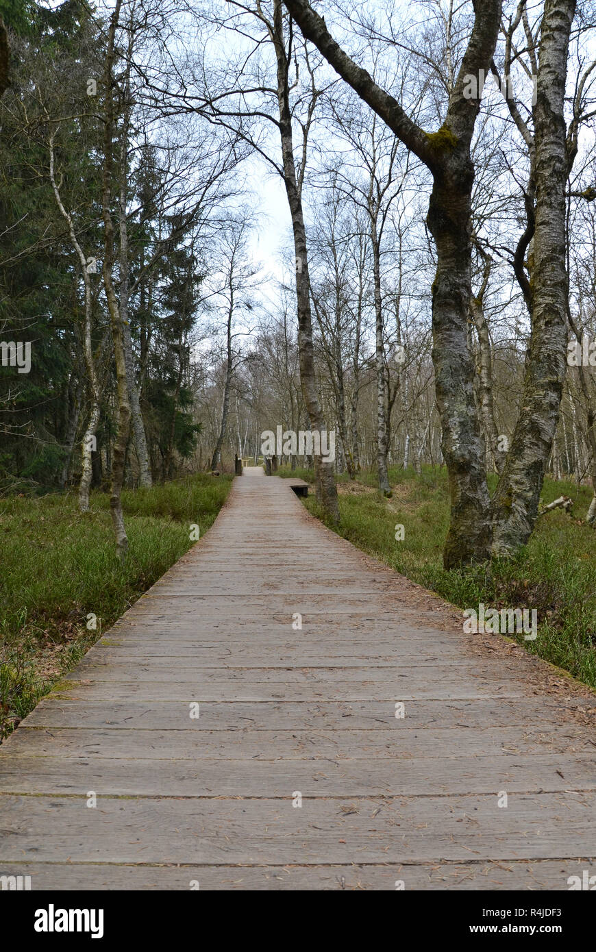 the redmoor (rhÃ¶n Stock Photo - Alamy