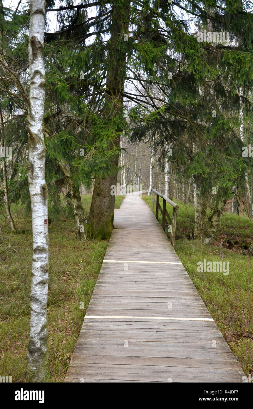 the redmoor (rhÃ¶n Stock Photo - Alamy