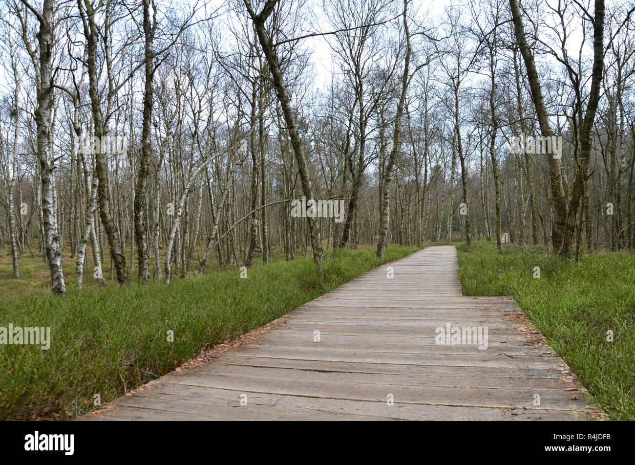 the redmoor (rhÃ¶n Stock Photo - Alamy