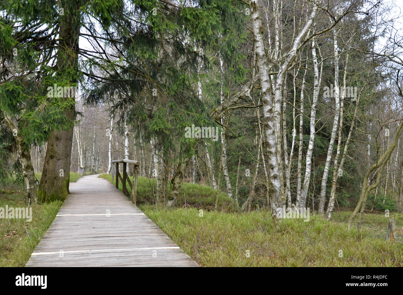 the redmoor (rhÃ¶n Stock Photo - Alamy