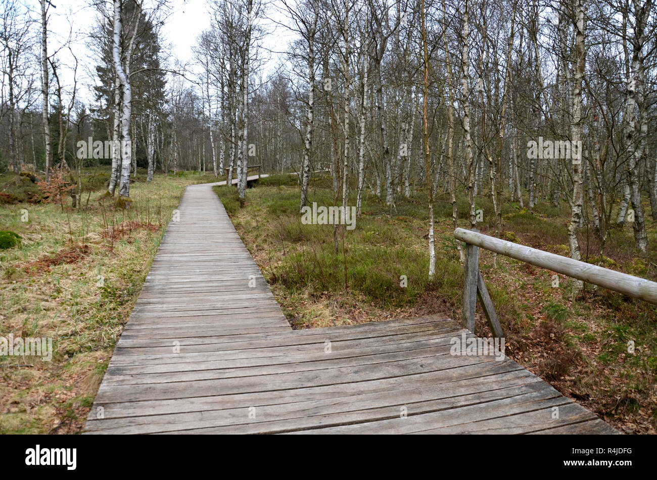 the redmoor (rhÃ¶n Stock Photo - Alamy