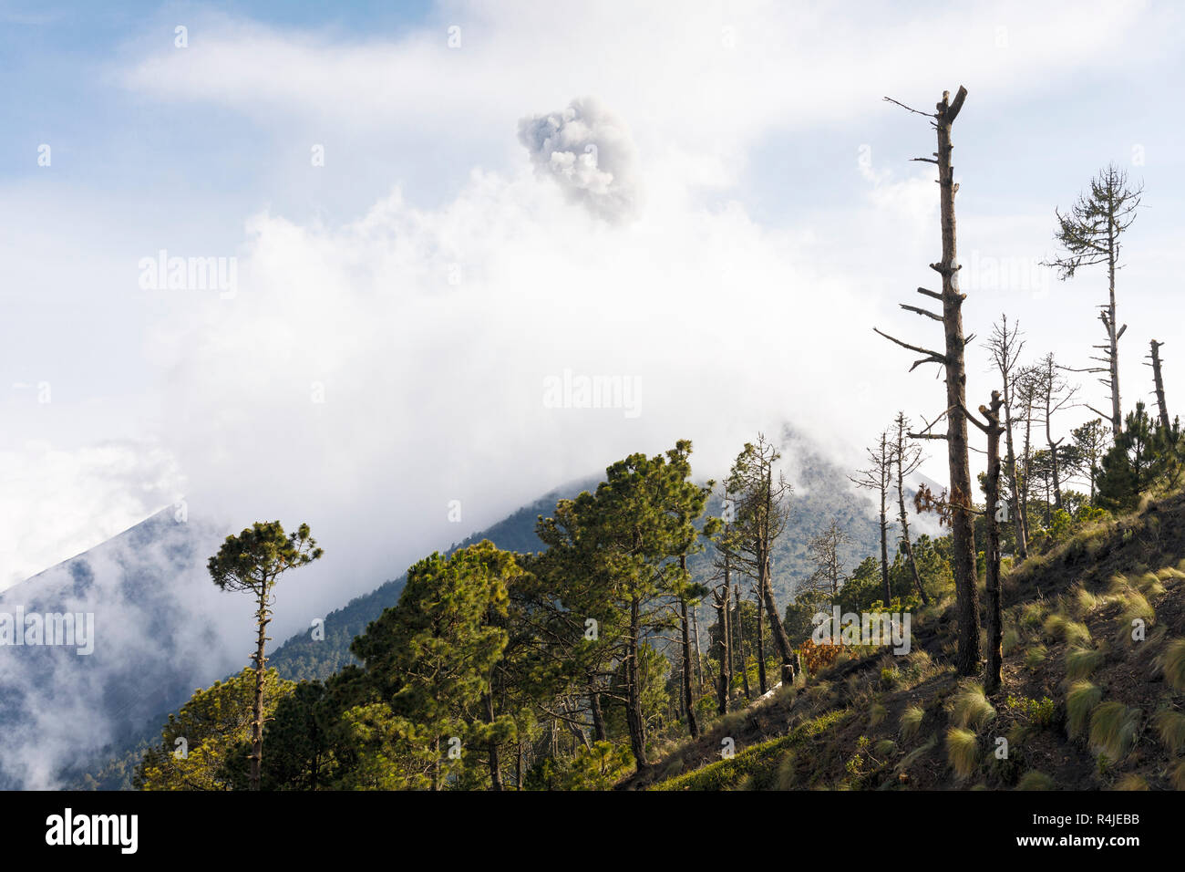 Side of a mountain hi-res stock photography and images - Alamy