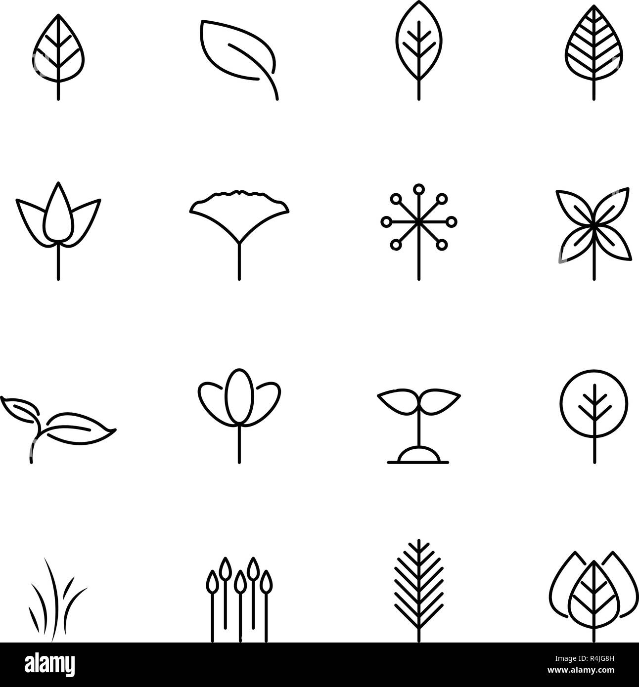 Green thin leaves Stock Vector Images - Alamy