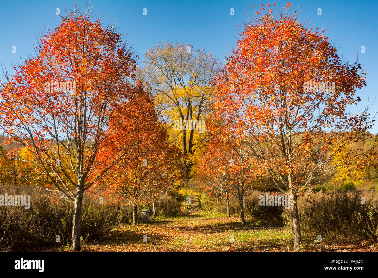 Indian stone path hi-res stock photography and images - Alamy