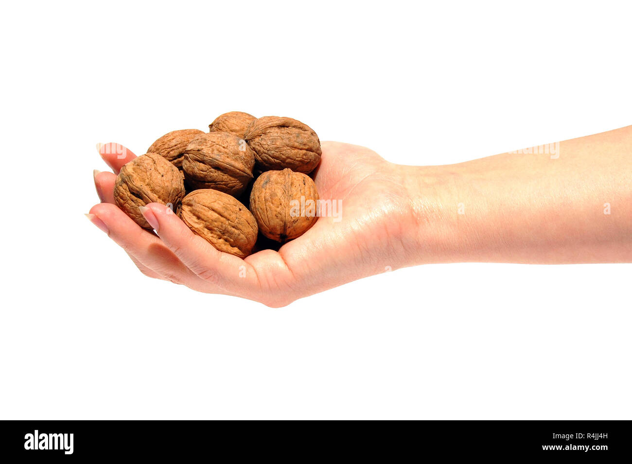 walnut in hand Stock Photo - Alamy