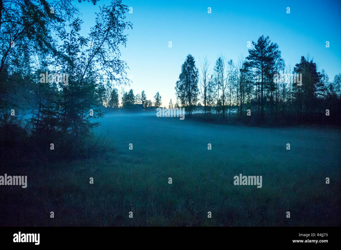 Mist field at dawn in Dalarna, Sweden Stock Photo - Alamy