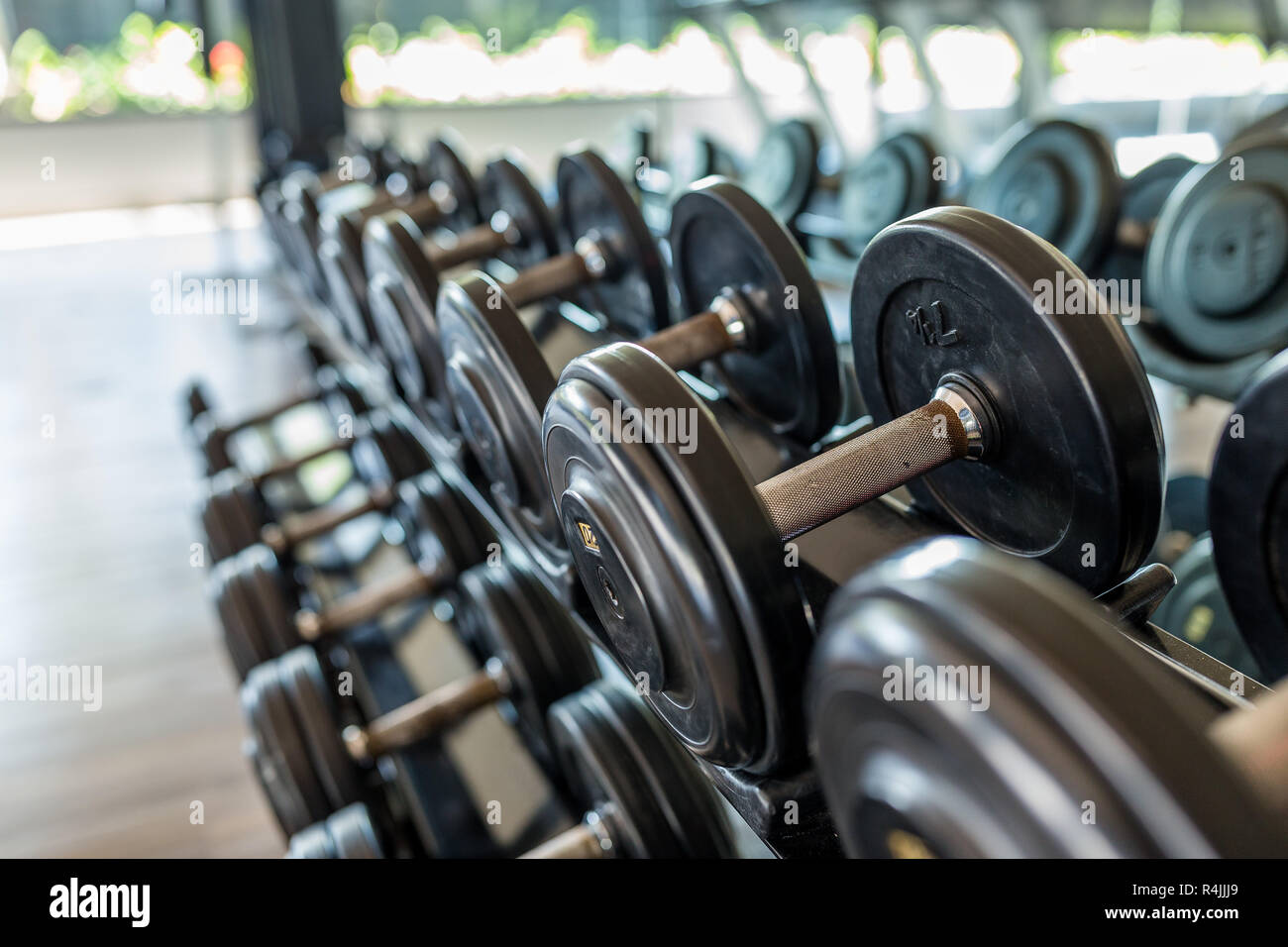 Dumbbell in gym Stock Photo - Alamy