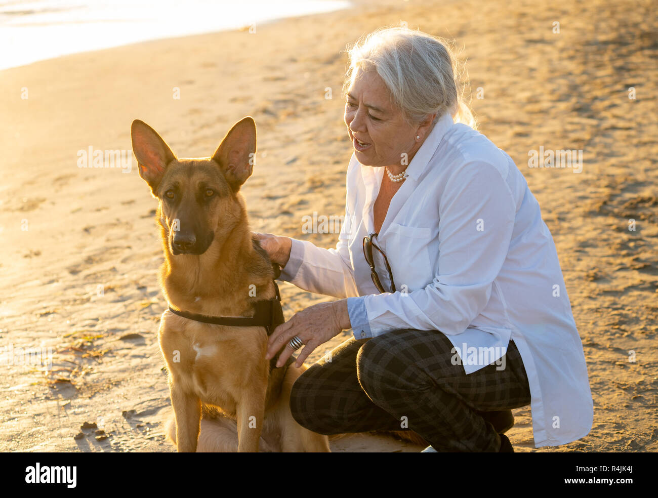 Portrait of beautiful widow older woman and german shepard dog enjoying ...