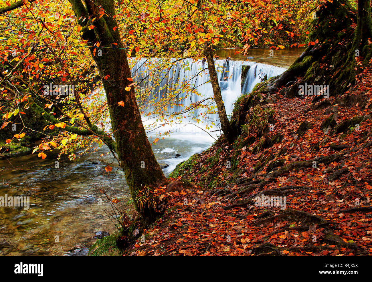 Autumn by the weir, below Stock Ghyll Force, Ambleside Stock Photo - Alamy