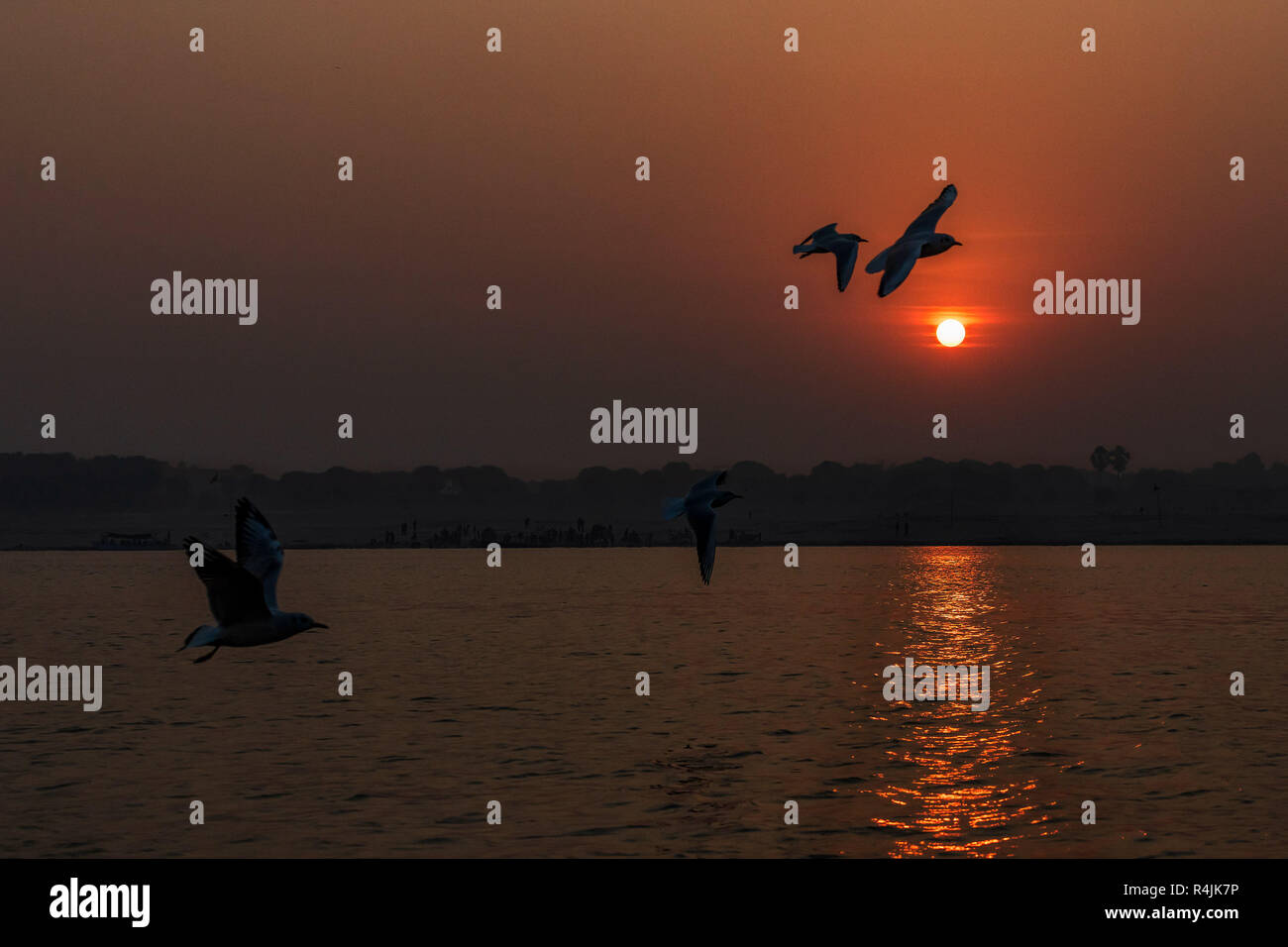 Morning glory on River Ganges at Varanasi, India Stock Photo - Alamy
