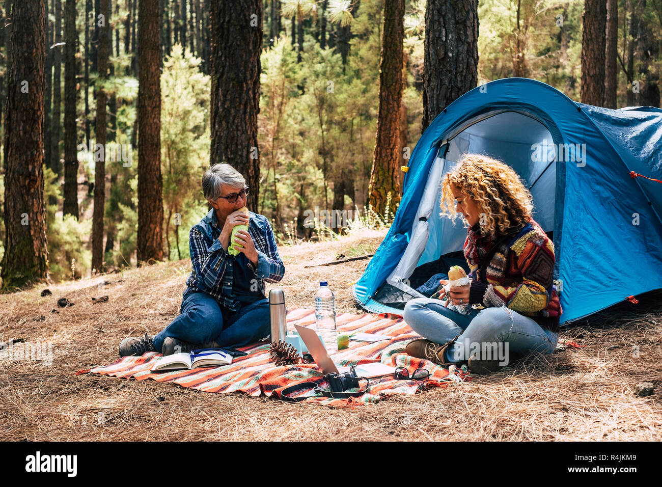 People Camping In The Forest