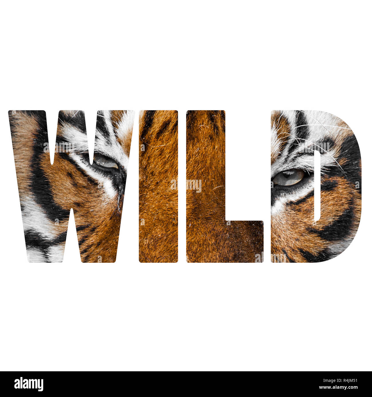 Big eyes close up Cut Out Stock Images & Pictures - Alamy