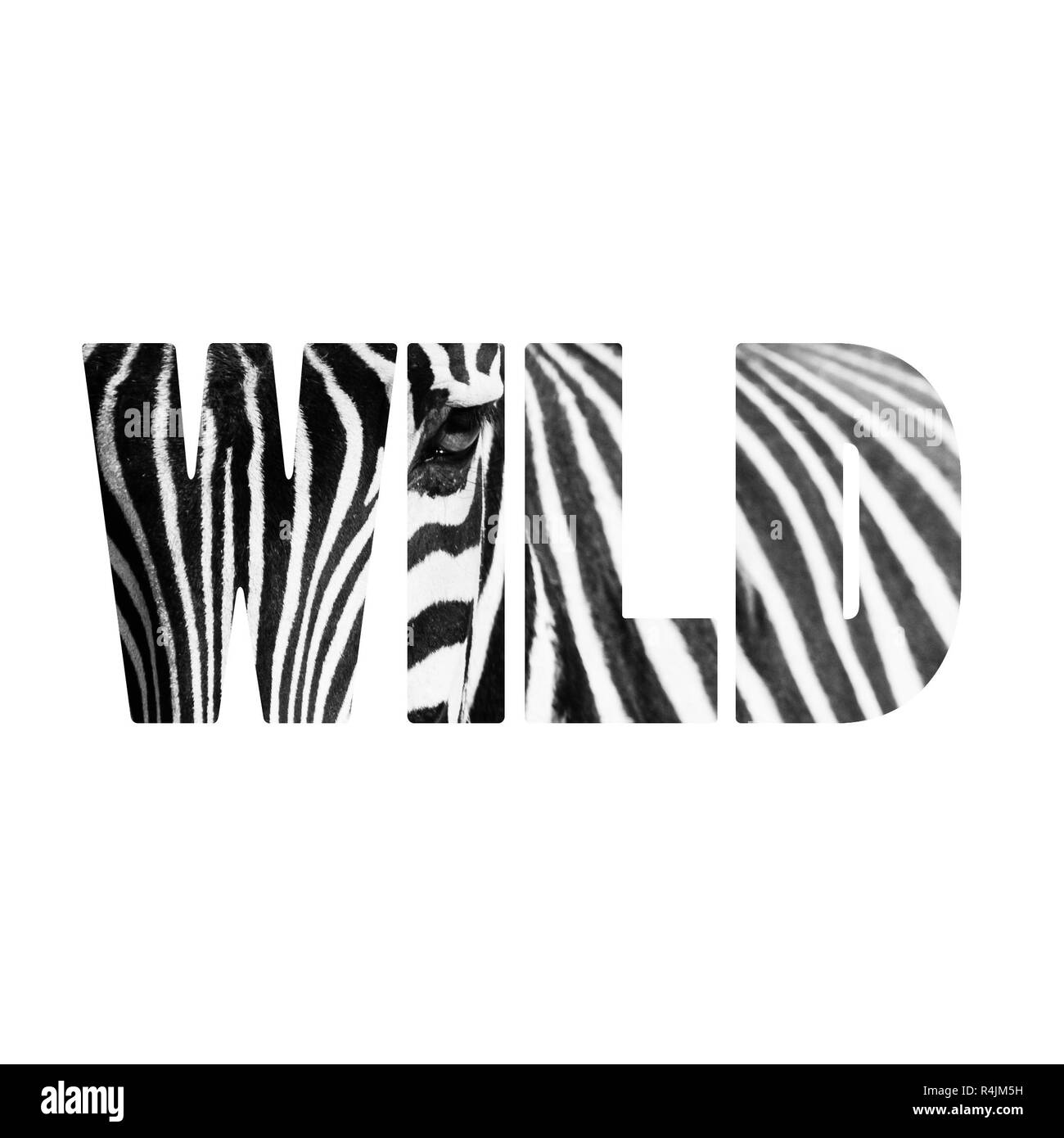 Safari curve Cut Out Stock Images & Pictures - Alamy