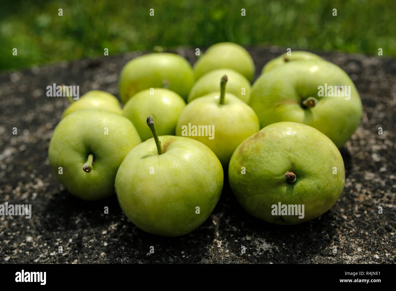 green apples on a granite stone Stock Photo - Alamy