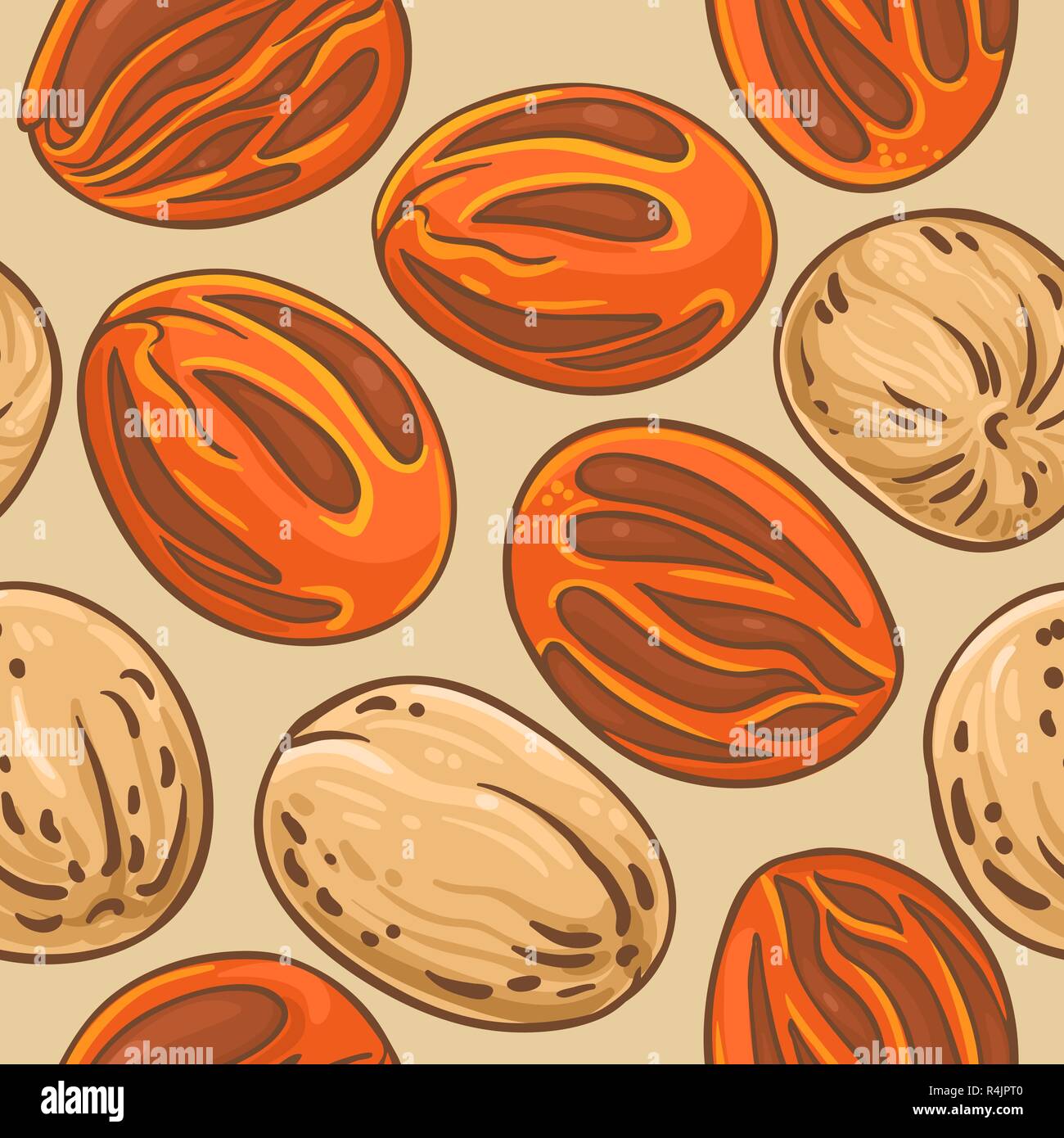 Nutmeg flower Stock Vector Images - Alamy