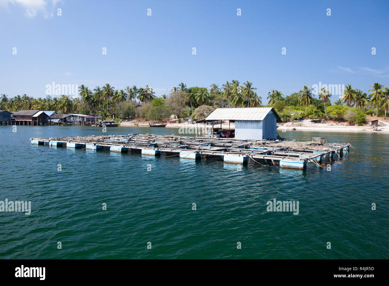 Fishes underwater fish cage farming Stock Photo - Alamy
