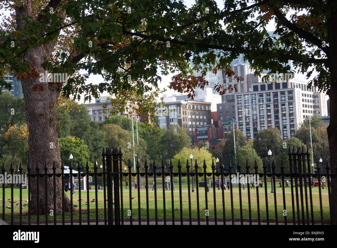 Boston Common, Boston, MA, USA Stock Photo - Alamy