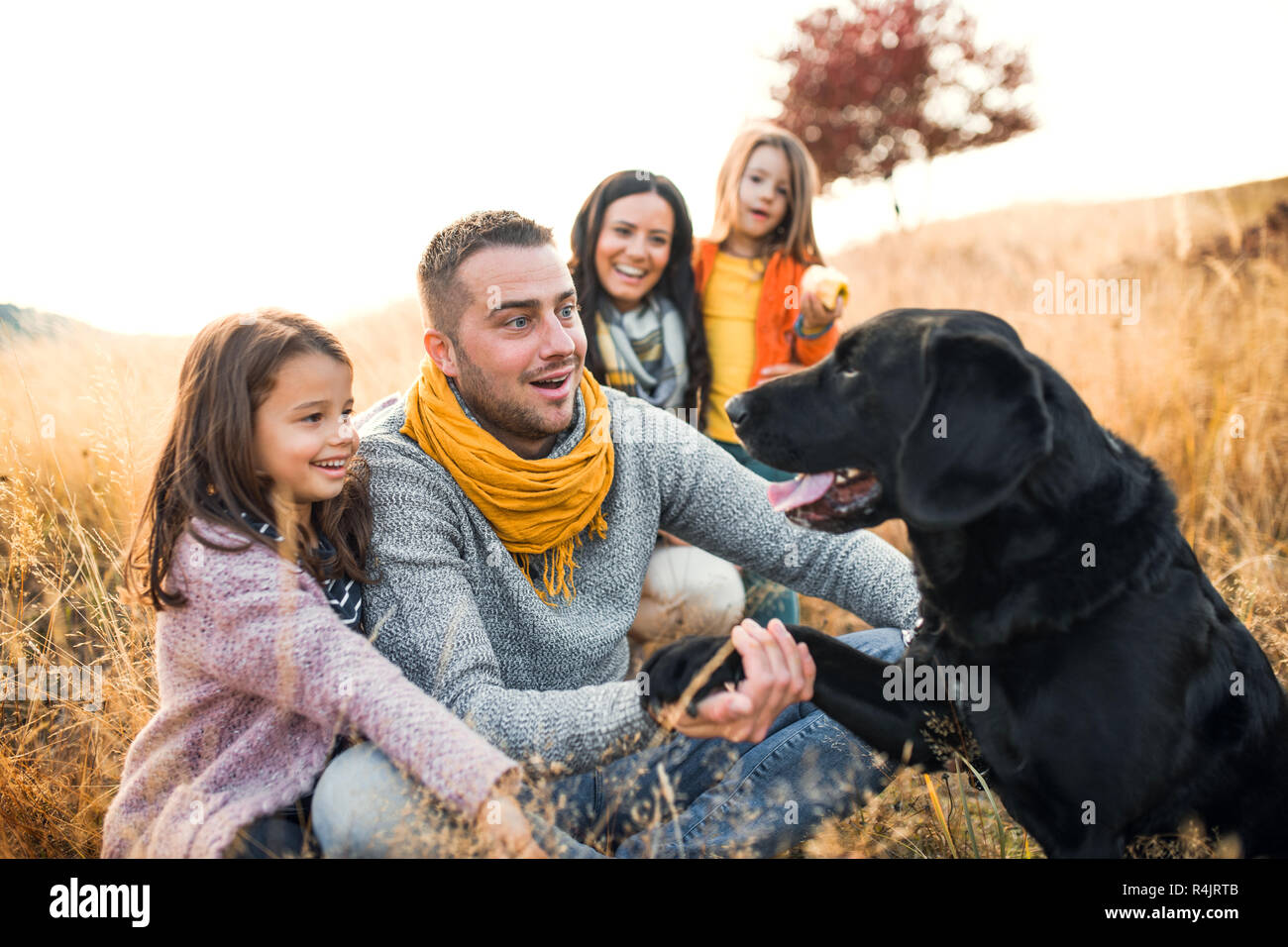 Family with two kids and dog hi-res stock photography and images - Alamy