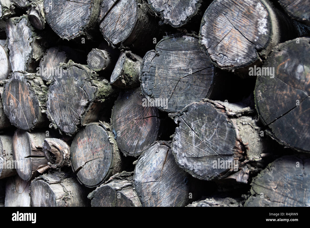 Piled round tree logs hi-res stock photography and images - Alamy