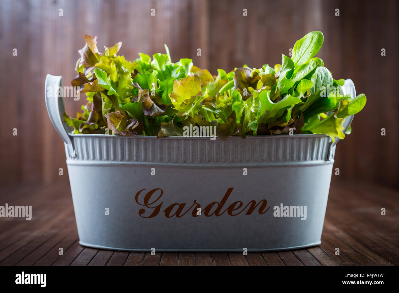 Planting living salad hi-res stock photography and images - Alamy