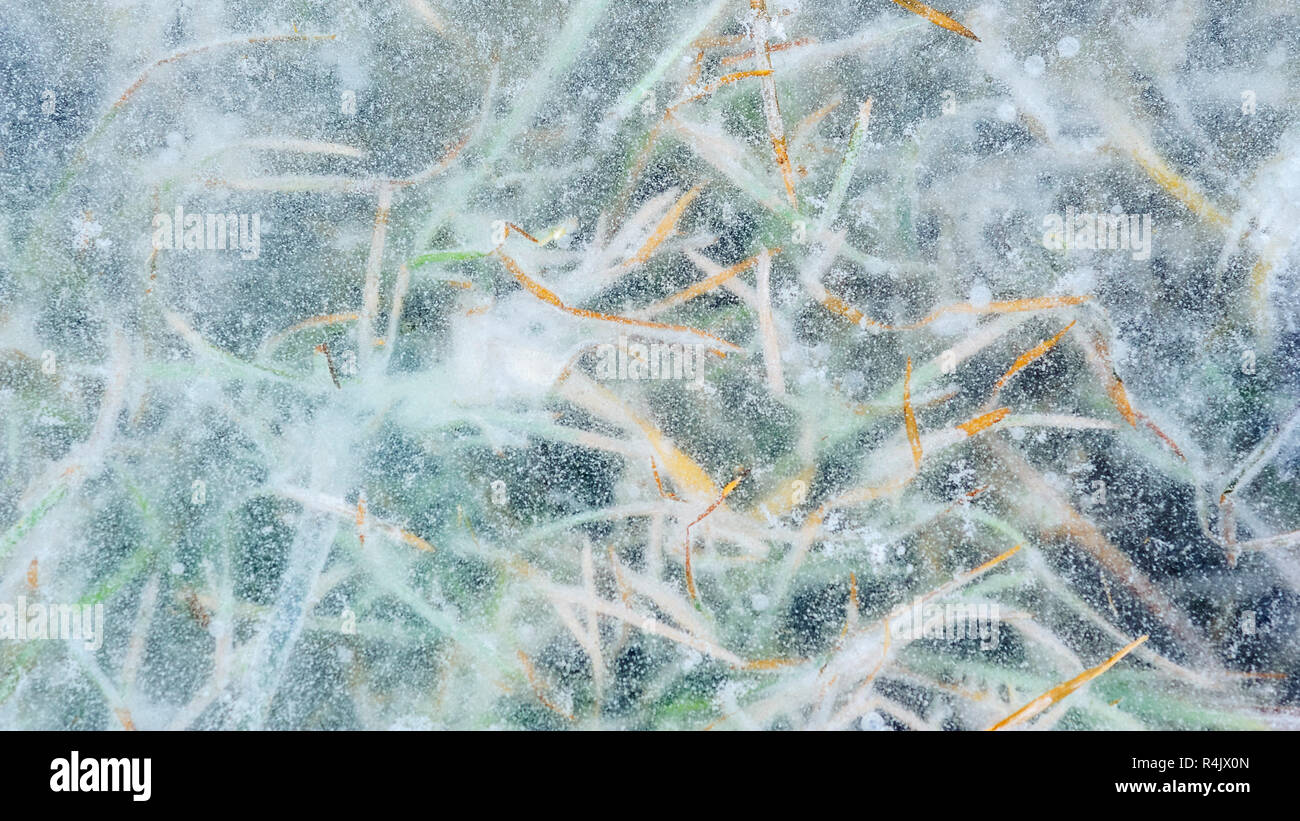 Grass under ice sheet hi-res stock photography and images - Alamy