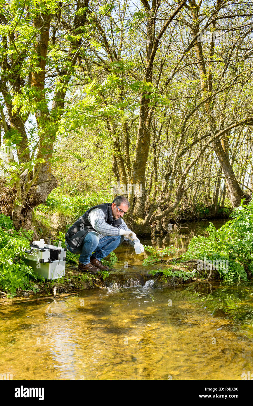 view of a biologist take a sample in a river Stock Photo - Alamy