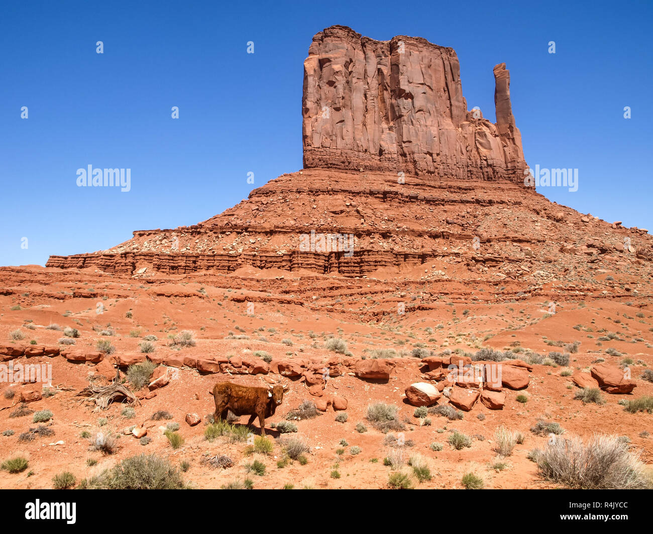 Landscape of the ancient rocks. Monument Valley, Arizona Stock Photo ...