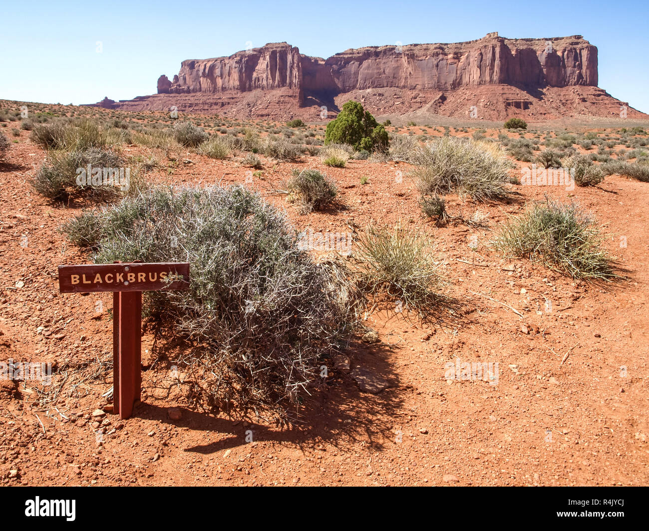 Landscape of the ancient rocks. Monument Valley, Arizona Stock Photo ...