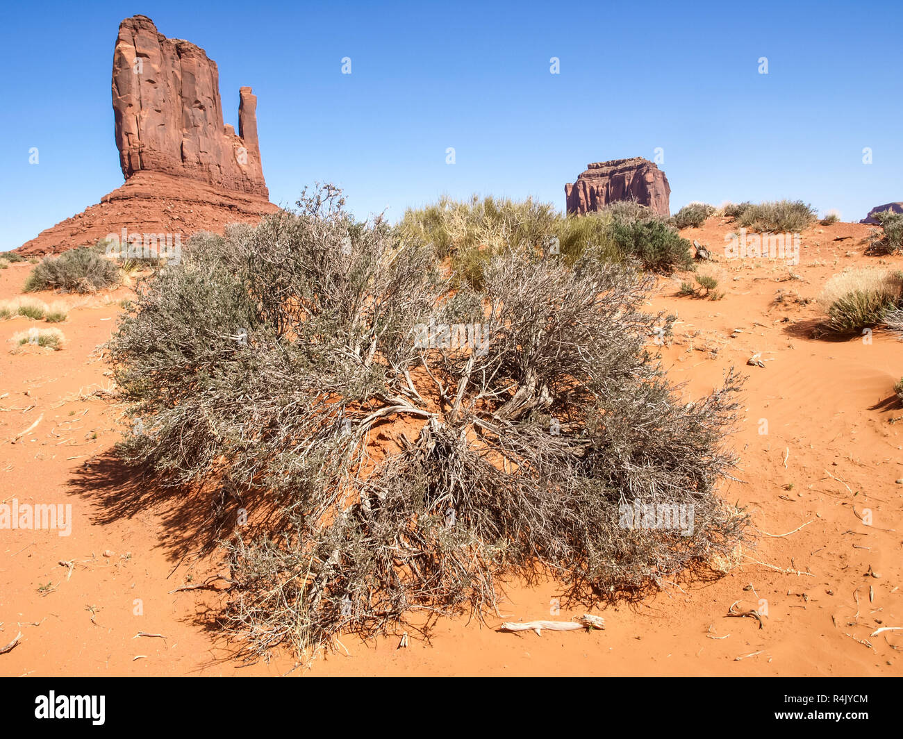 Landscape of the ancient rocks. Monument Valley, Arizona Stock Photo ...
