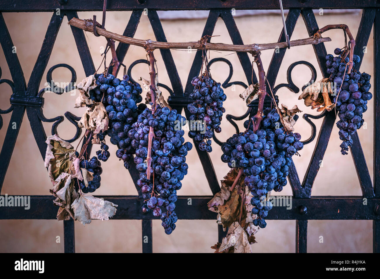 Red grapes drying out Stock Photo - Alamy