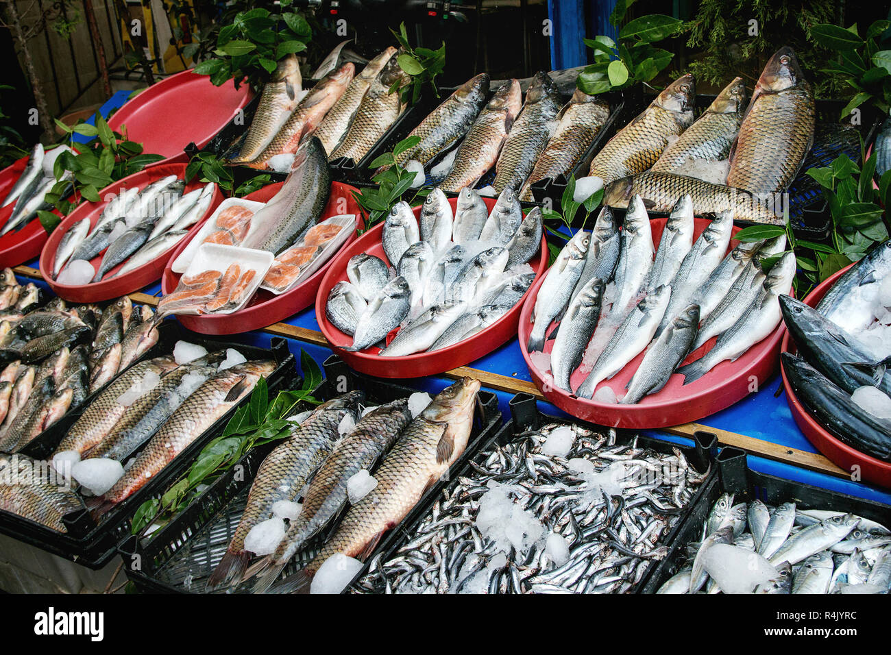 Turkish farmer market. Variety of fresh fish and shrimps with price on ...