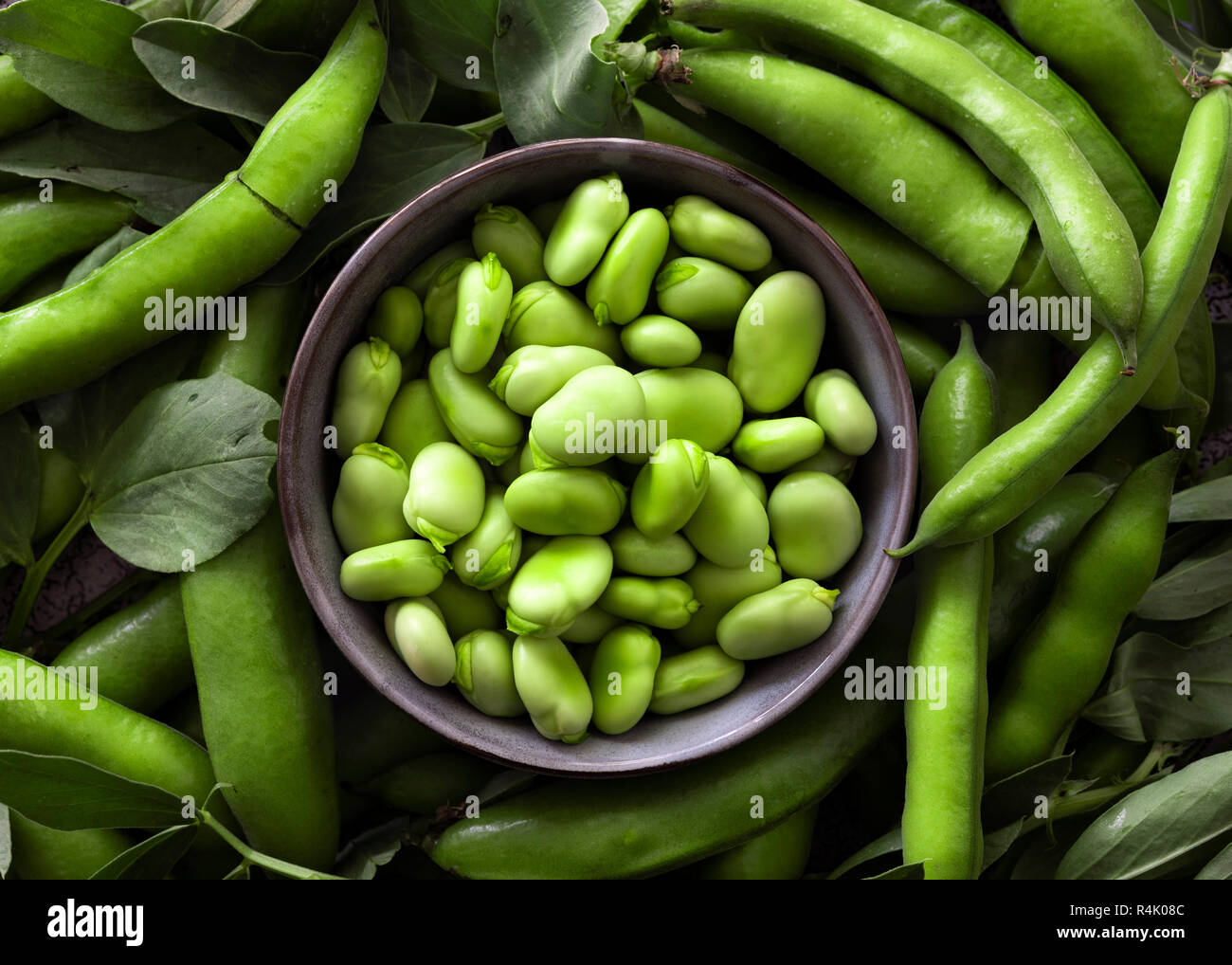 Fava bean pods around a bowl of shelled beans Stock Photo - Alamy
