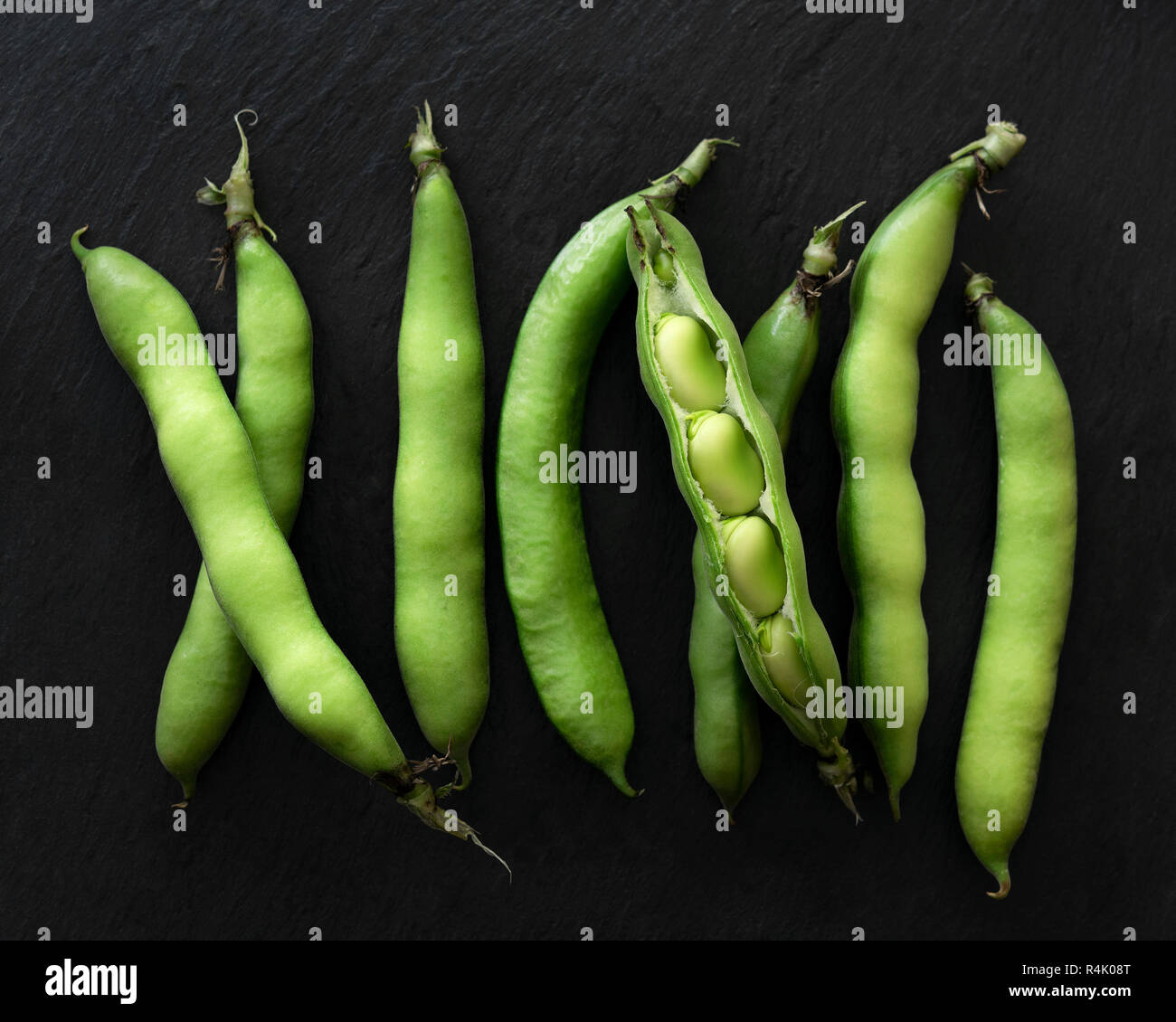 A row of fava bean pods with one pod open Stock Photo - Alamy