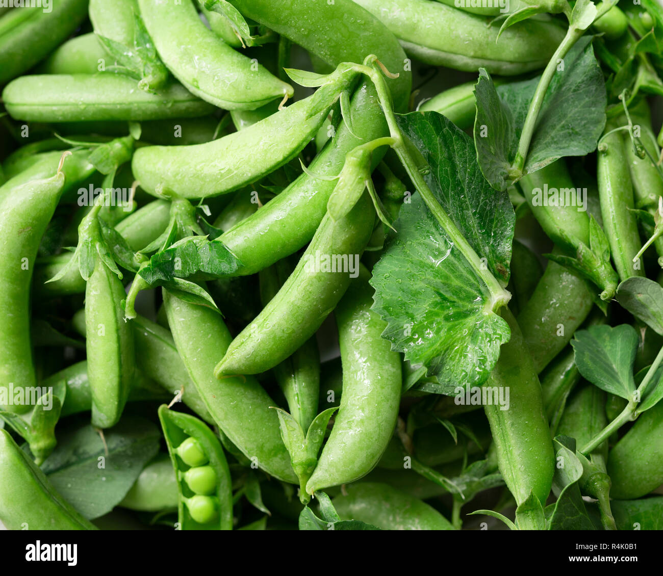 Snap pea hi-res stock photography and images - Alamy