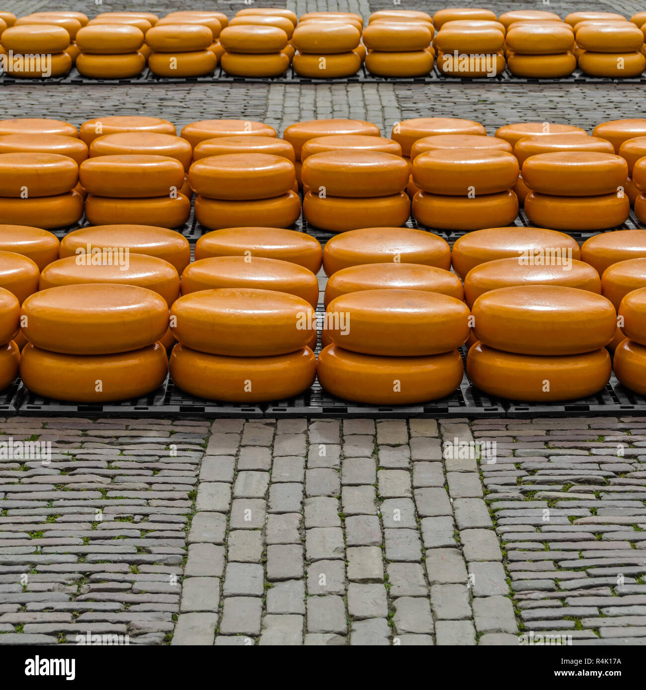 Traditional Dutch cheese market in Alkmaar, the Netherlands Stock Photo ...