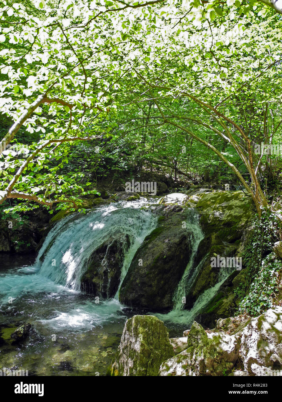 Cascading river with beautiful rapid in the green spring forest. Arch ...