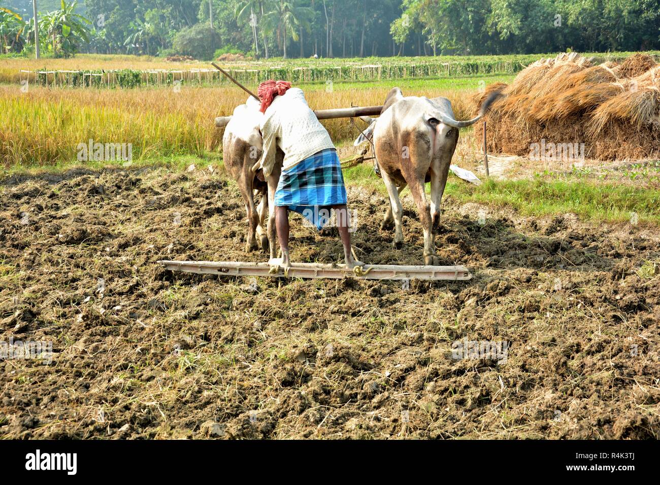 Agriculture Methods High Resolution Stock Photography and Images - Alamy