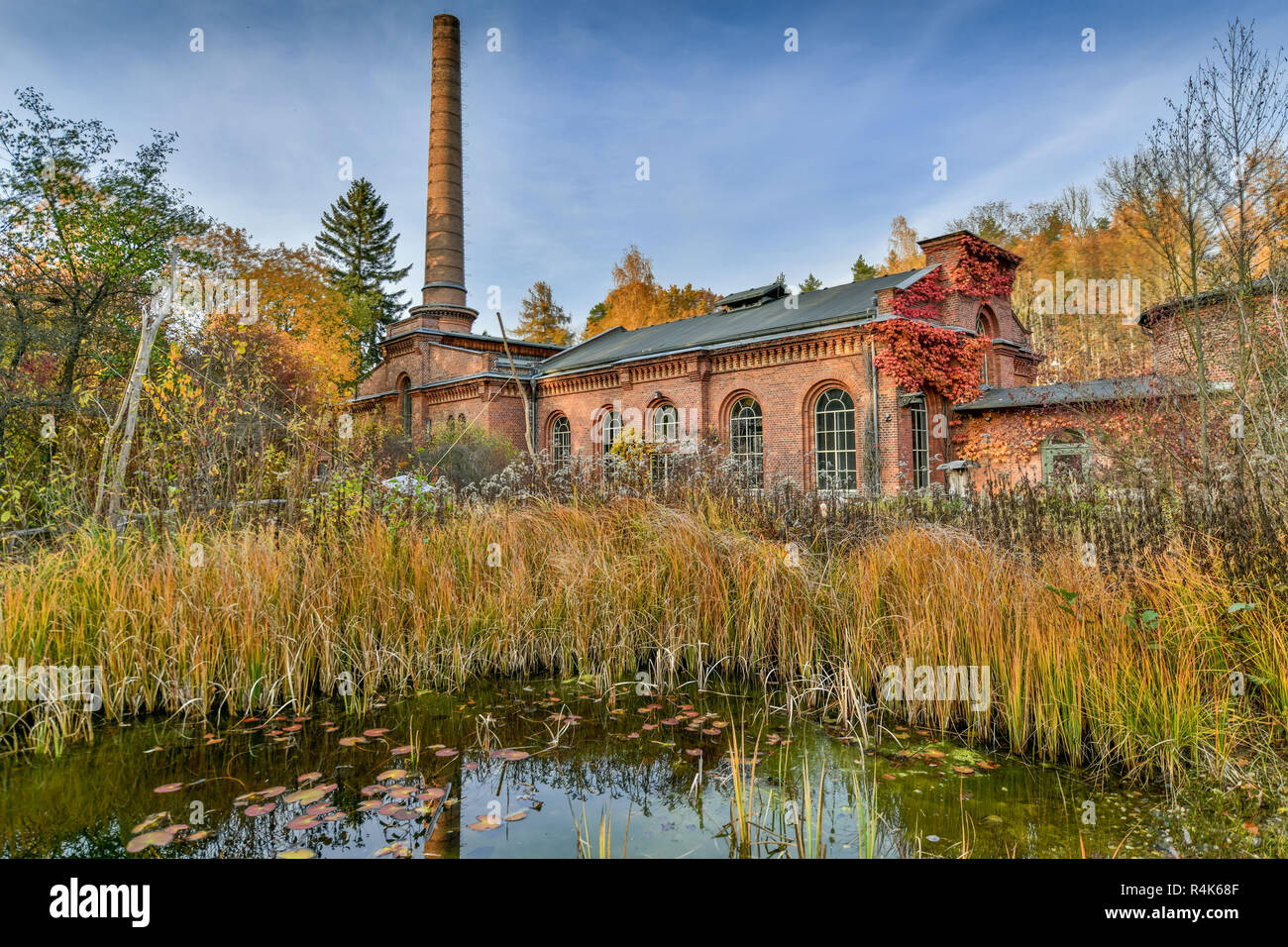 Nature conservation centre ecological work Devil's lake, Grunewald ...