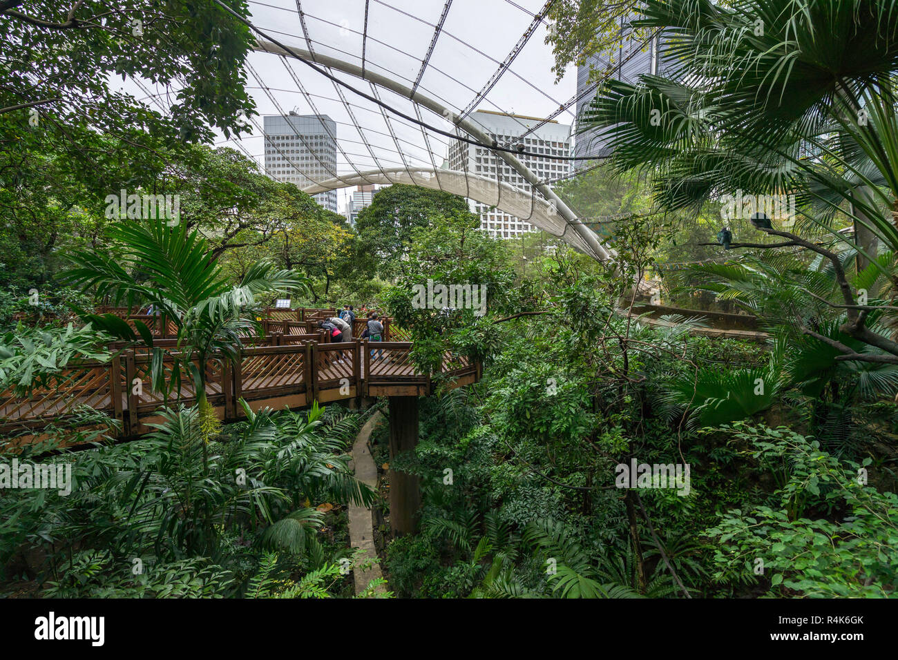 Edward Youde Aviary at the Hong Kong Park features a collection exotic ...