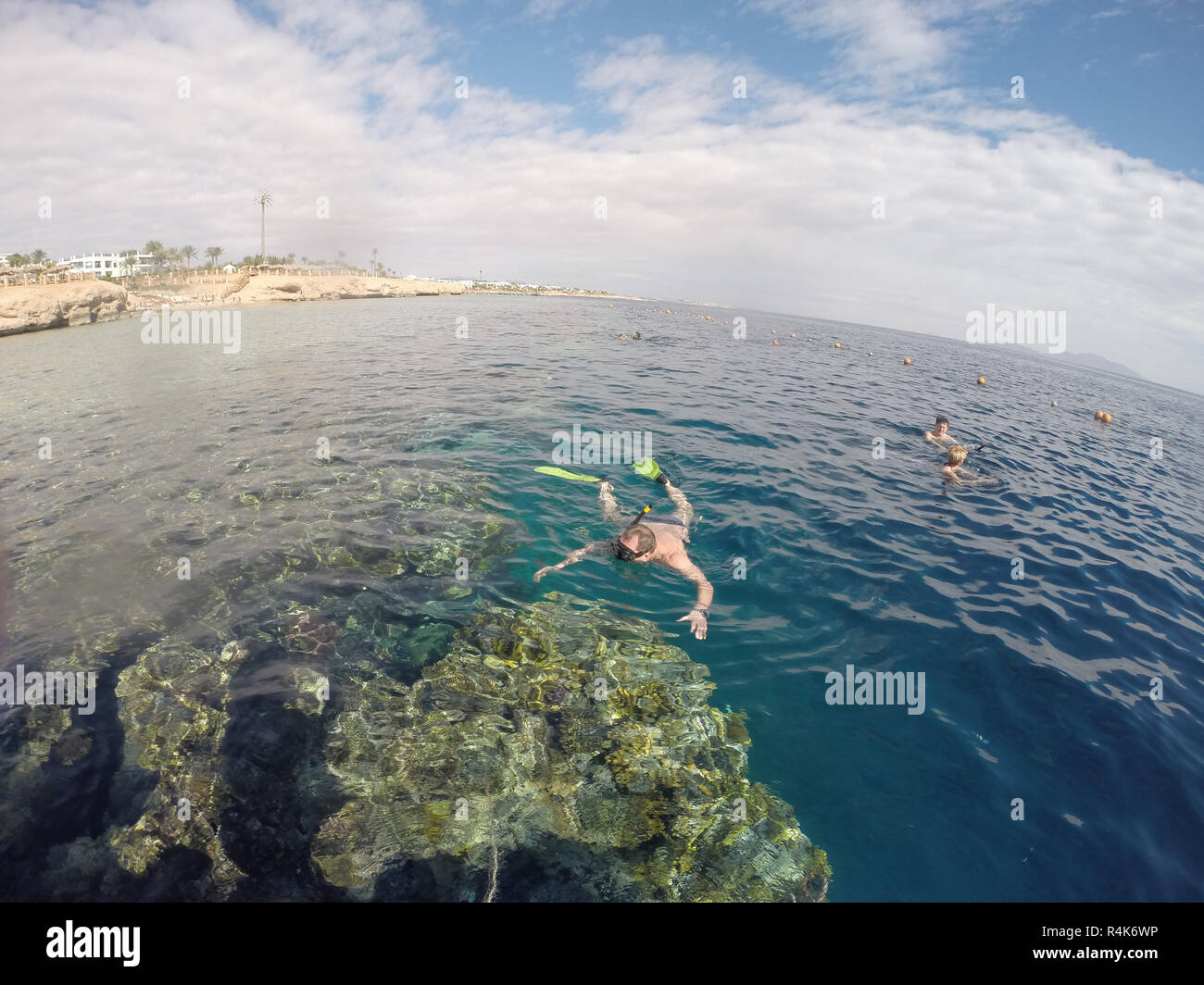 Family dive vacation Stock Photo - Alamy