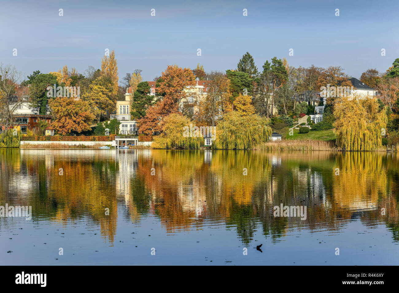 Dog throat lake, Grunewald, Berlin, Germany, Hundekehlesee, Deutschland ...