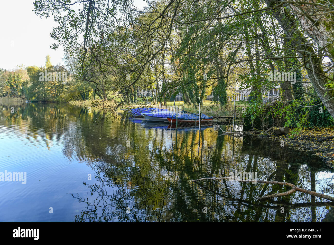 Dog throat lake, Grunewald, Berlin, Germany, Hundekehlesee, Deutschland ...