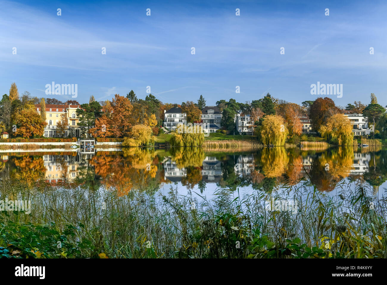 Dog throat lake, Grunewald, Berlin, Germany, Hundekehlesee, Deutschland ...