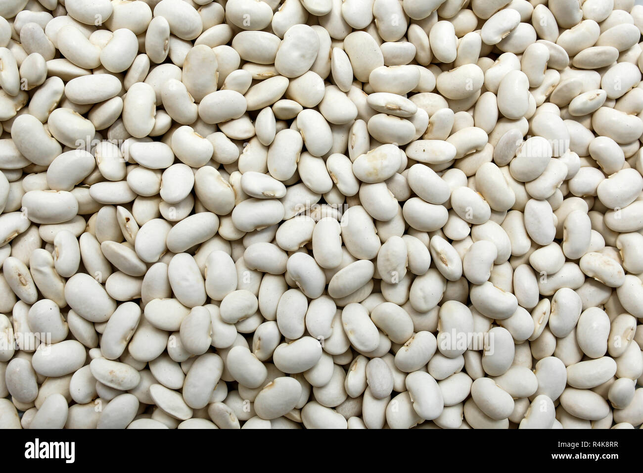 white beans background or texture Stock Photo - Alamy